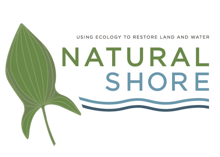 Shoreline Stabilization Bundle -- 50 Plants | Natural Shore Natives